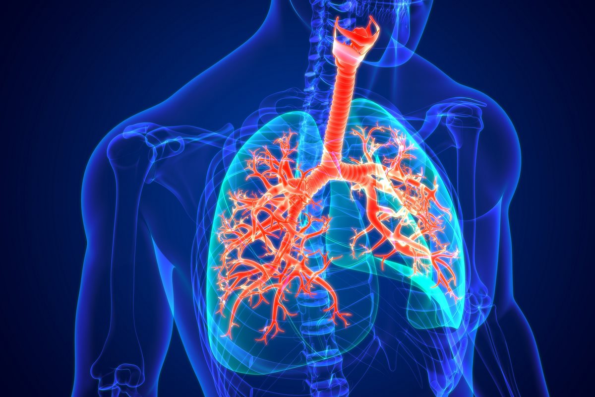 Przewlekła obturacyjna choroba płuc… - Publikacja | Adamed Expert